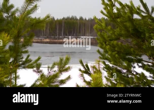 Taiga lake in early Stock Videos & Footage - HD and 4K Video Clips - Alamy