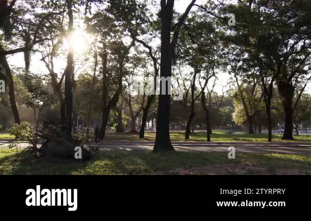 Sunlight over public park in Stock Videos & Footage - HD and 4K Video ...