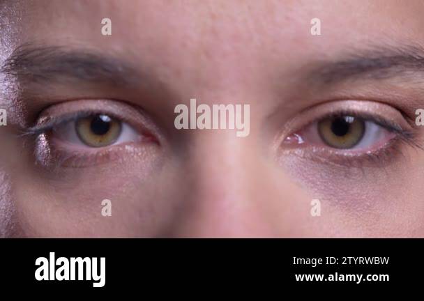 Closeup macro shoot of adult female face with brown eyes looking ...