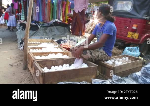 Local man sitting Stock Videos & Footage - HD and 4K Video Clips - Alamy