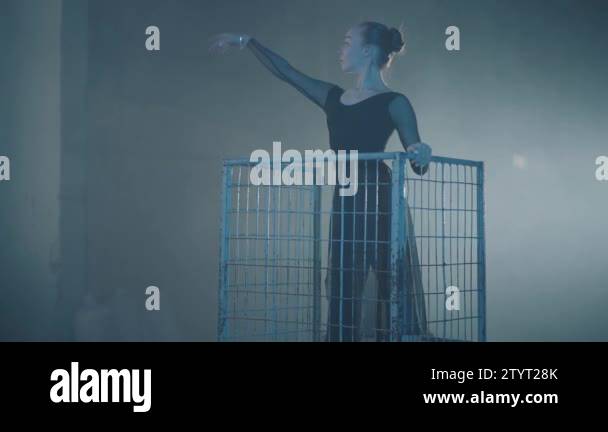 The figure of professional ballerina dancing in black dress in the ...