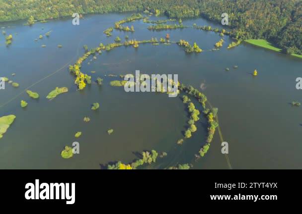 AERIAL: Overview of meandering submerged autumn green trees after a ...