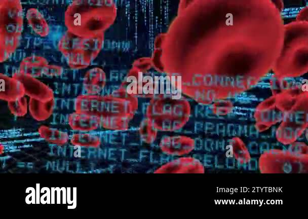 Digitally generated animation of red blood cells and program codes ...