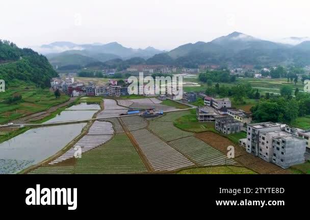Aerial view, green rice and vegetable fields in poor village in China ...