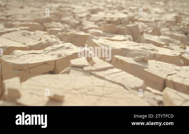 MACRO, DEPTH OF FIELD: Global warming and water shortage destroy ...