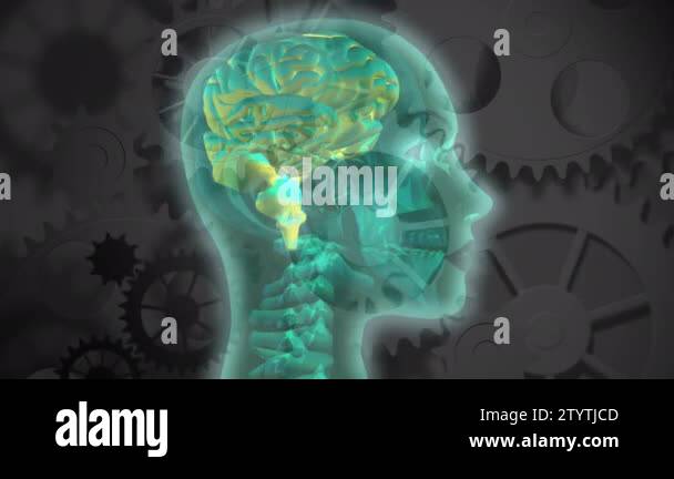 Brain engine Stock Videos & Footage - HD and 4K Video Clips - Alamy
