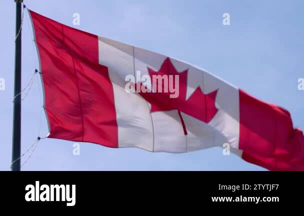 Beautiful national symbol canada flag Stock Videos & Footage - HD and ...