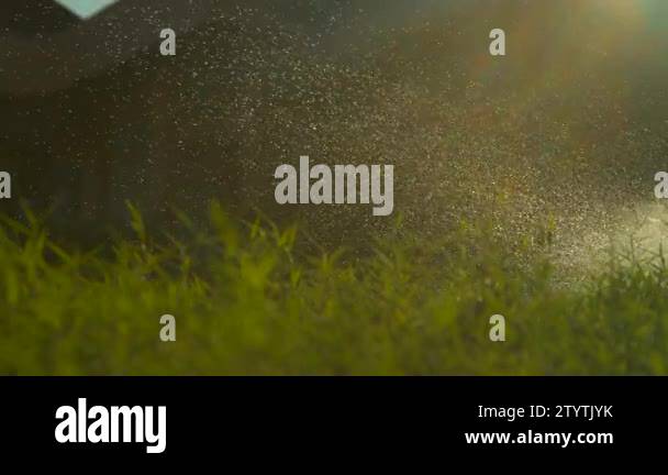 SLOW MOTION, LENS FLARE, CLOSE UP: Spring morning sun rays shine on ...