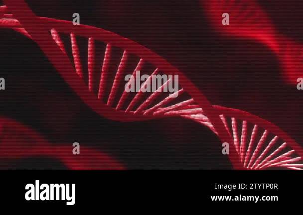 3d Animation Of Abstract Dna On Dark Backdrop With Seamless Loop Conceptual Design Of Genetic