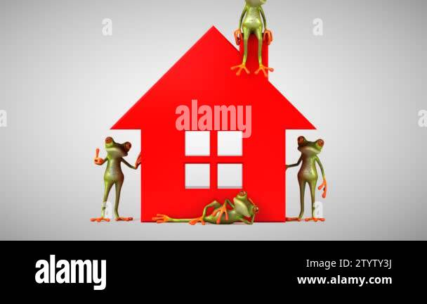 Frogs house Stock Videos & Footage - HD and 4K Video Clips - Alamy