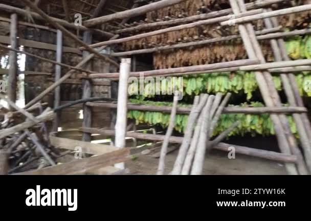 Agriculture drying shed Stock Videos & Footage - HD and 4K Video Clips ...