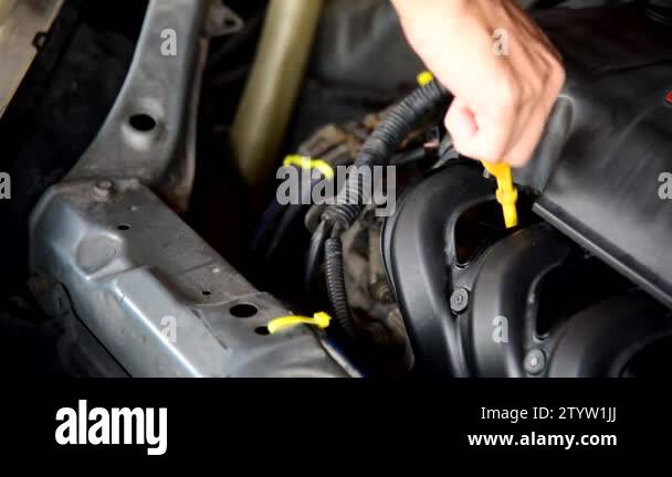 Car engine oil check Stock Videos & Footage - HD and 4K Video Clips - Alamy