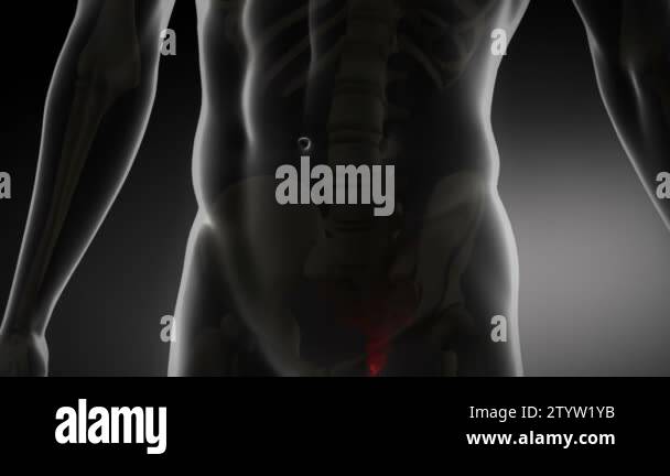 Human inter Stock Videos & Footage - HD and 4K Video Clips - Alamy