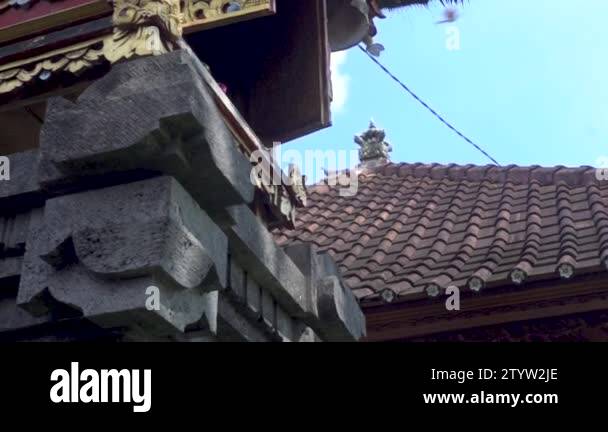 Tile roof of balinese temple architecture on tropical plants background ...