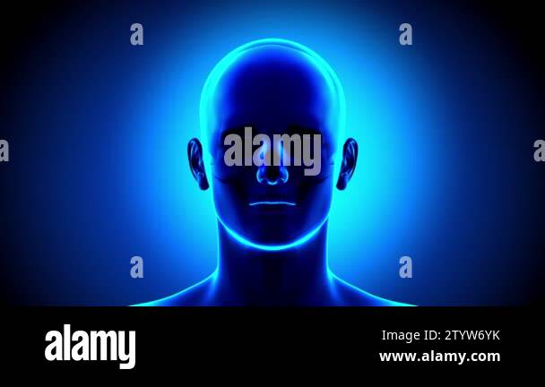 Nose anatomy and sinuses Stock Videos & Footage - HD and 4K Video Clips ...