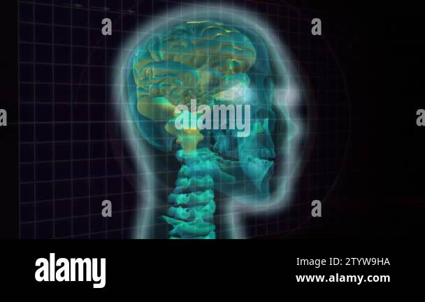 Digital animation of a rotating 3d human face showing the green brain ...