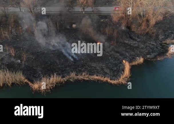 Epic aerial view of smoking wild fire. Large smoke clouds and fire ...