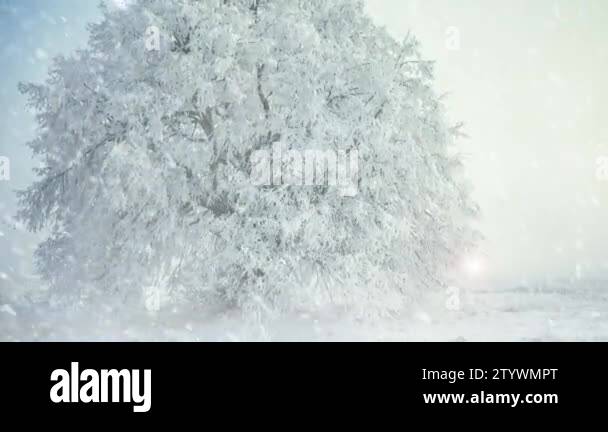 Sunlight falling on snow Stock Videos & Footage - HD and 4K Video Clips ...