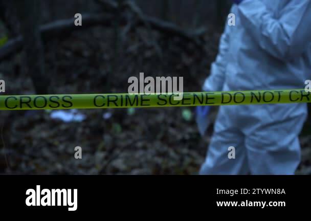 Crime scene in the woods, murder site, forensic expert collecting ...