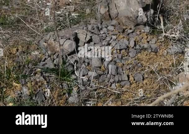 Fragmentation of rocks Stock Videos & Footage - HD and 4K Video Clips ...