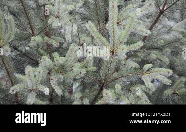 Rain rain Stock Videos & Footage - HD and 4K Video Clips - Alamy