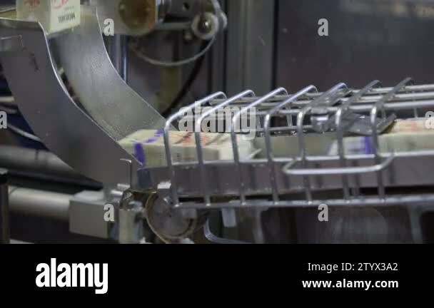 Milk packaging line. Dairy products in tetra packaging are moving along ...