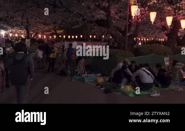 Traditional hanami Stock Videos & Footage - HD and 4K Video Clips - Alamy