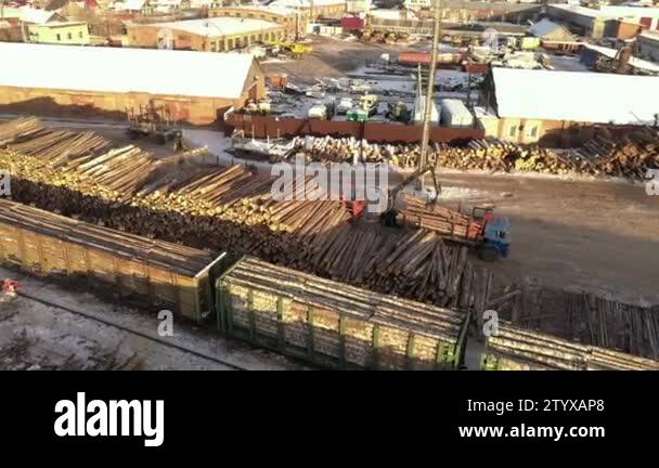 A logging train at the sawmill hauls stacked wooden logs and tree ...