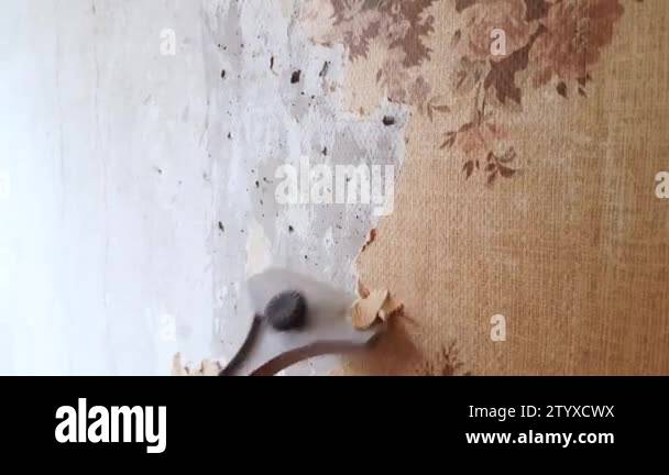 Scraping off paper wallpaper Stock Videos & Footage - HD and 4K Video ...