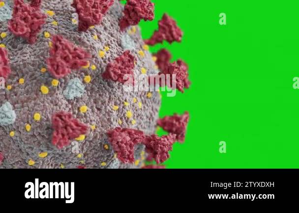 Covid-19 Virus Extreme Close-up Structure in Electron Microscope ...