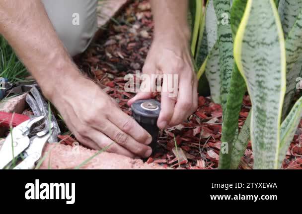 Plumber Man fixing Sprinkler Head in backyard. Grass Field Sprinklers ...