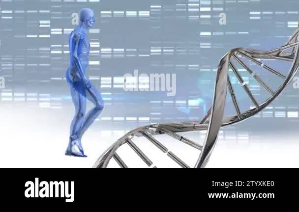 Electrophoresis Chamber
