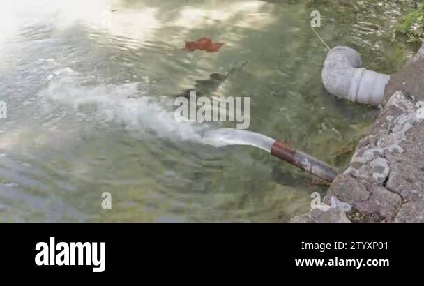 Flow fish Stock Videos & Footage - HD and 4K Video Clips - Alamy