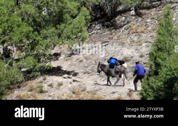 Pamir pass Stock Videos & Footage - HD and 4K Video Clips - Alamy