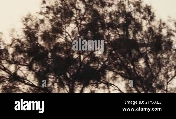 AH-64D Apache Longbow military helicopter during combat flight Stock ...