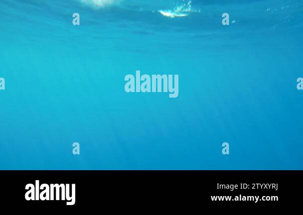 4k slow motion underwater video of sun rays shining through sea surface ...