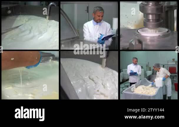 Production of Milk and Milk Products - Dairy Factory - Multi Screen ...