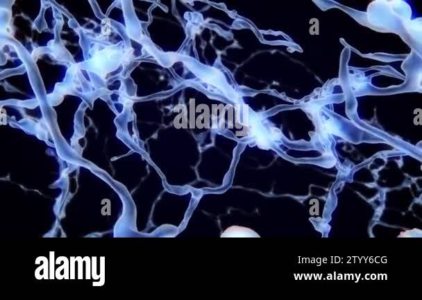 Real Neuron network synapse inside the human brain. Neuronal and ...