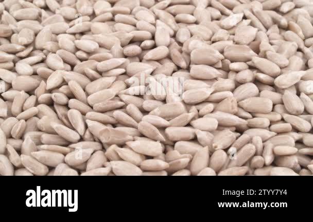 Seed kernels Stock Videos & Footage - HD and 4K Video Clips - Alamy
