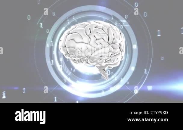 Digitally generated human brain scrolling. Background shows glowing ...