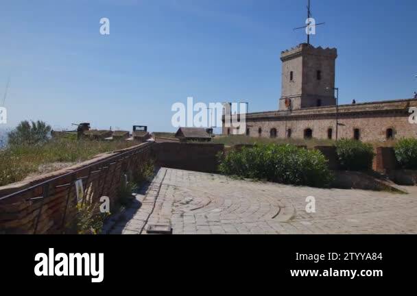 Flowers turret Stock Videos & Footage - HD and 4K Video Clips - Alamy
