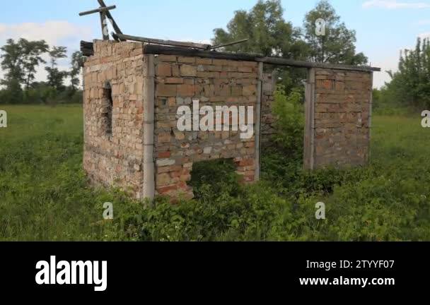 Ruined house in the middle of the field. Abandoned house overgrown with ...