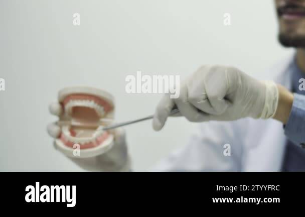 Dentist showing the camera how to use a tool. Dentist showing jaw model ...