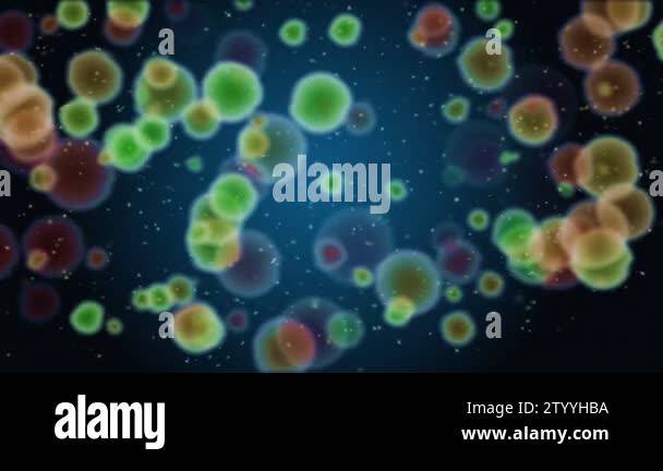 Bacterial under microscope background Stock Videos & Footage - HD and 4K Video Clips - Alamy