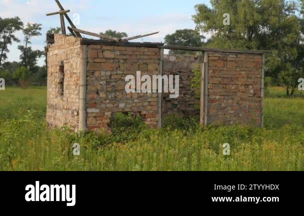 Ruined house in the middle of the field. Abandoned house overgrown with ...