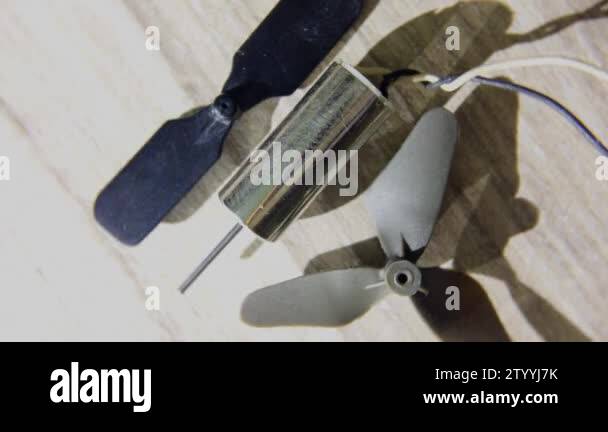 Grasshopper repeat Stock Videos & Footage - HD and 4K Video Clips - Alamy