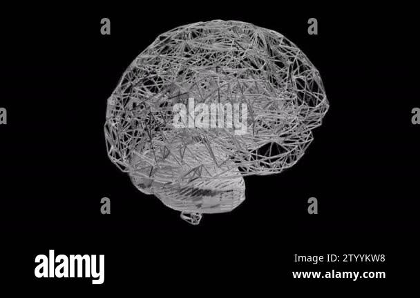 Cyclically rotating computer model of the human brain. Animation with ...