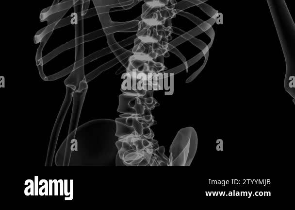 3D X-ray sequence scenes of human skeleton. 4k Stock Video Footage - Alamy