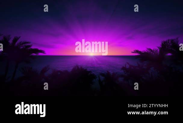 Purple sky sunset with shining sun surrounded by tropical palm beach ...