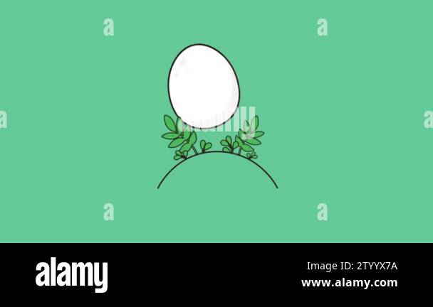 Hatching easter egg Stock Videos & Footage - HD and 4K Video Clips - Alamy